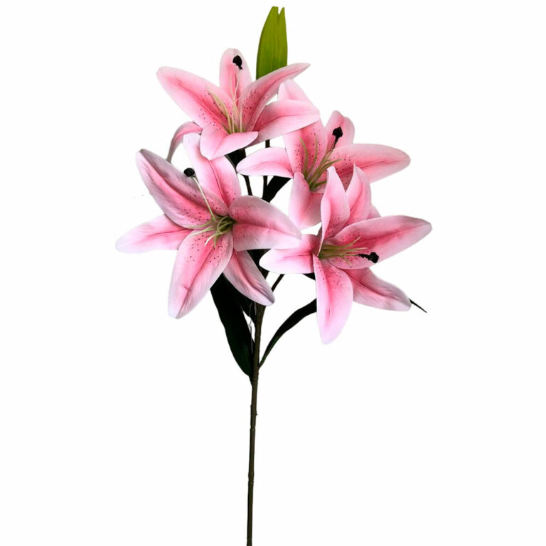 Lily Rosa Con Textura Natural | Perfect Home